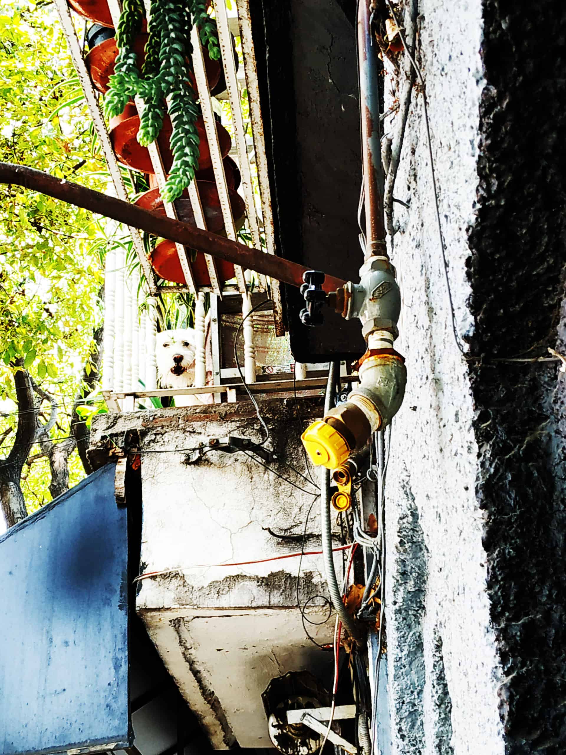 …cosas… | tRoPpMaNn-On A wIrE